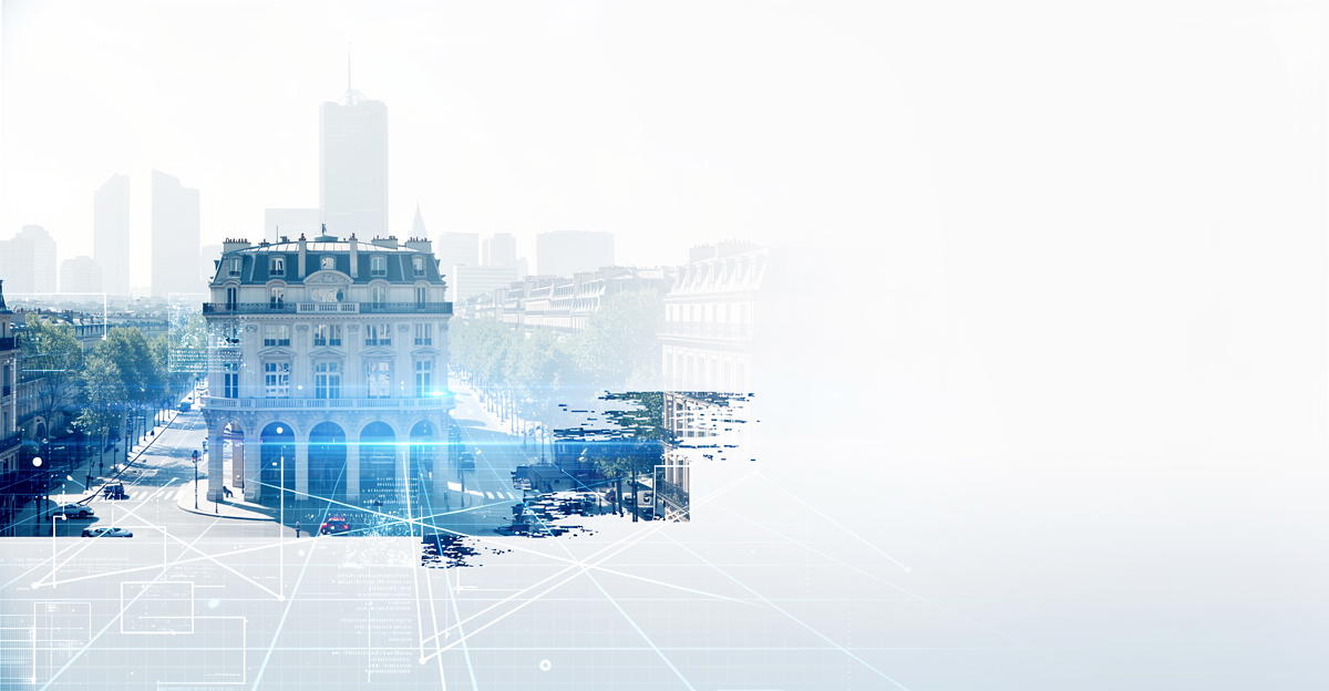 Haussmann's Renovation of Paris: A City Reborn | IIENSTITU
