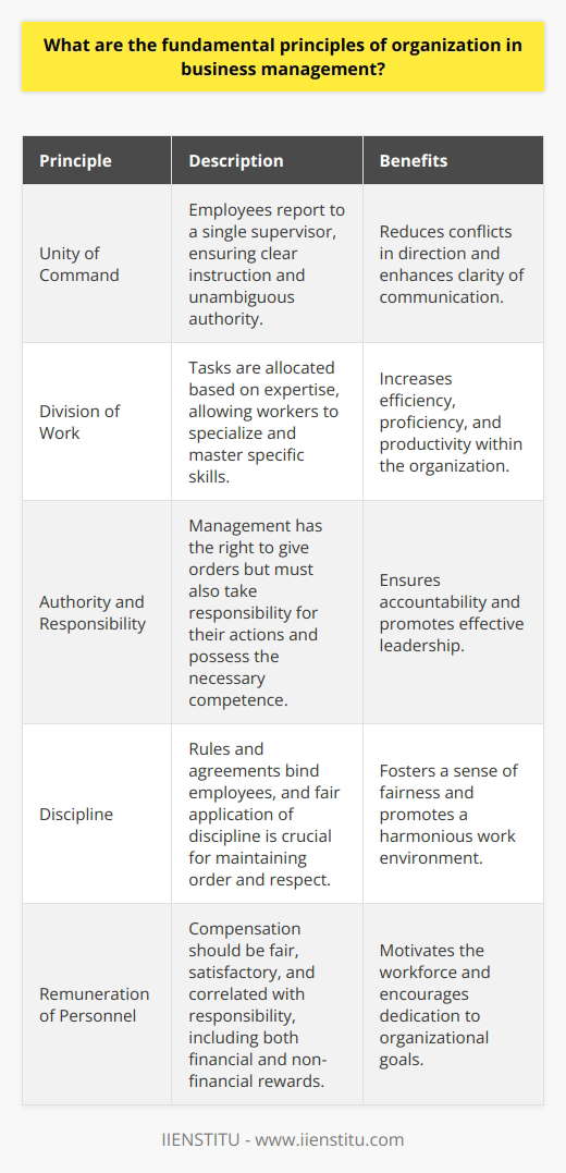Principles of Organization Explained: A Guide… | IIENSTITU